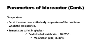 Bioreactor Overview | PPTX | Biotech and Biomedical Industry | Industries