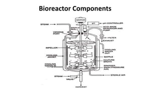 Bioreactor Overview | PPTX | Biotech and Biomedical Industry | Industries