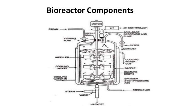 Bioreactor Overview