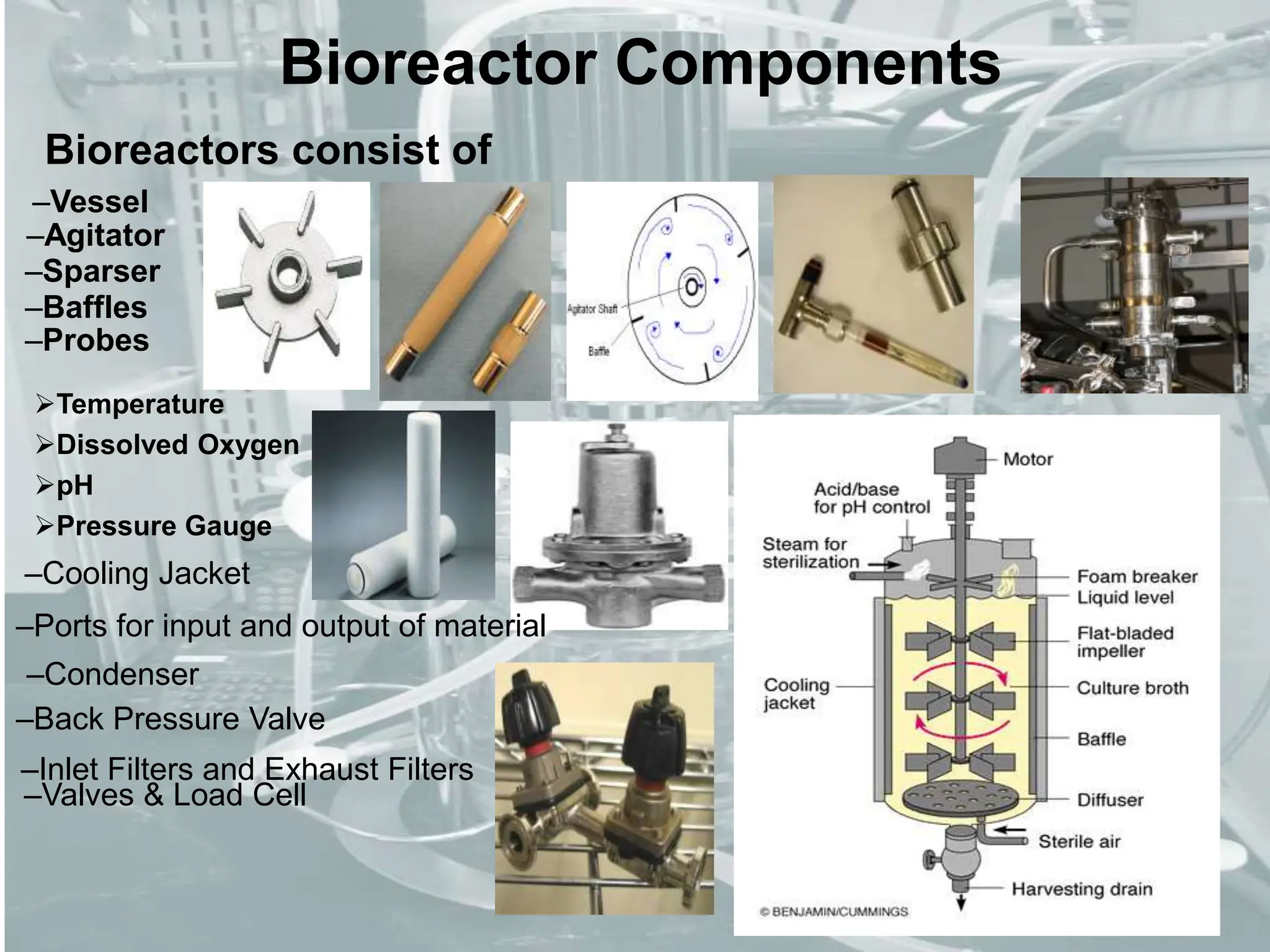 Bioreactor On Bioprocess Engineering Ppt