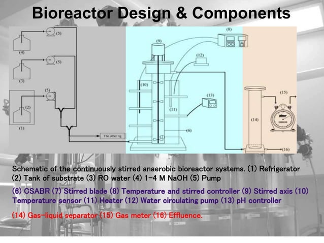 Bioreactor_on_Bioprocess_Engineering.ppt