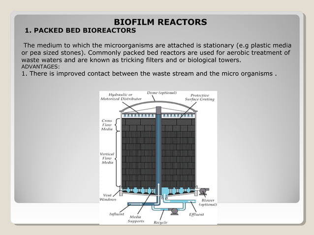 Bioreactors | PPT