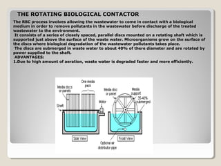 Bioreactors | PPT