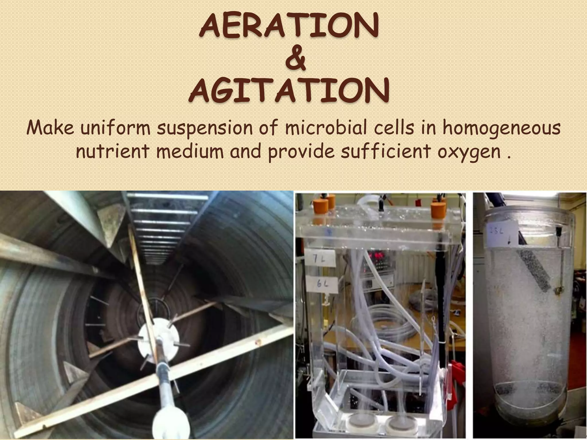 Bioreactors | PPTX