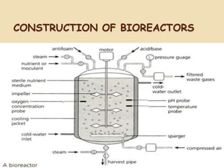 Bioreactors | PPTX