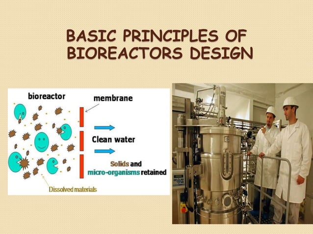 Bioreactors | PPTX