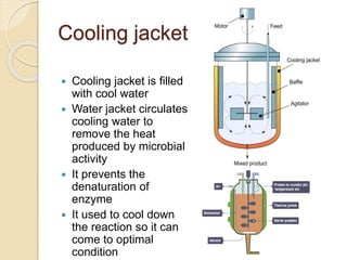 Bioreactors | PPT | Free Download