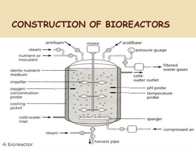 Bioreactors