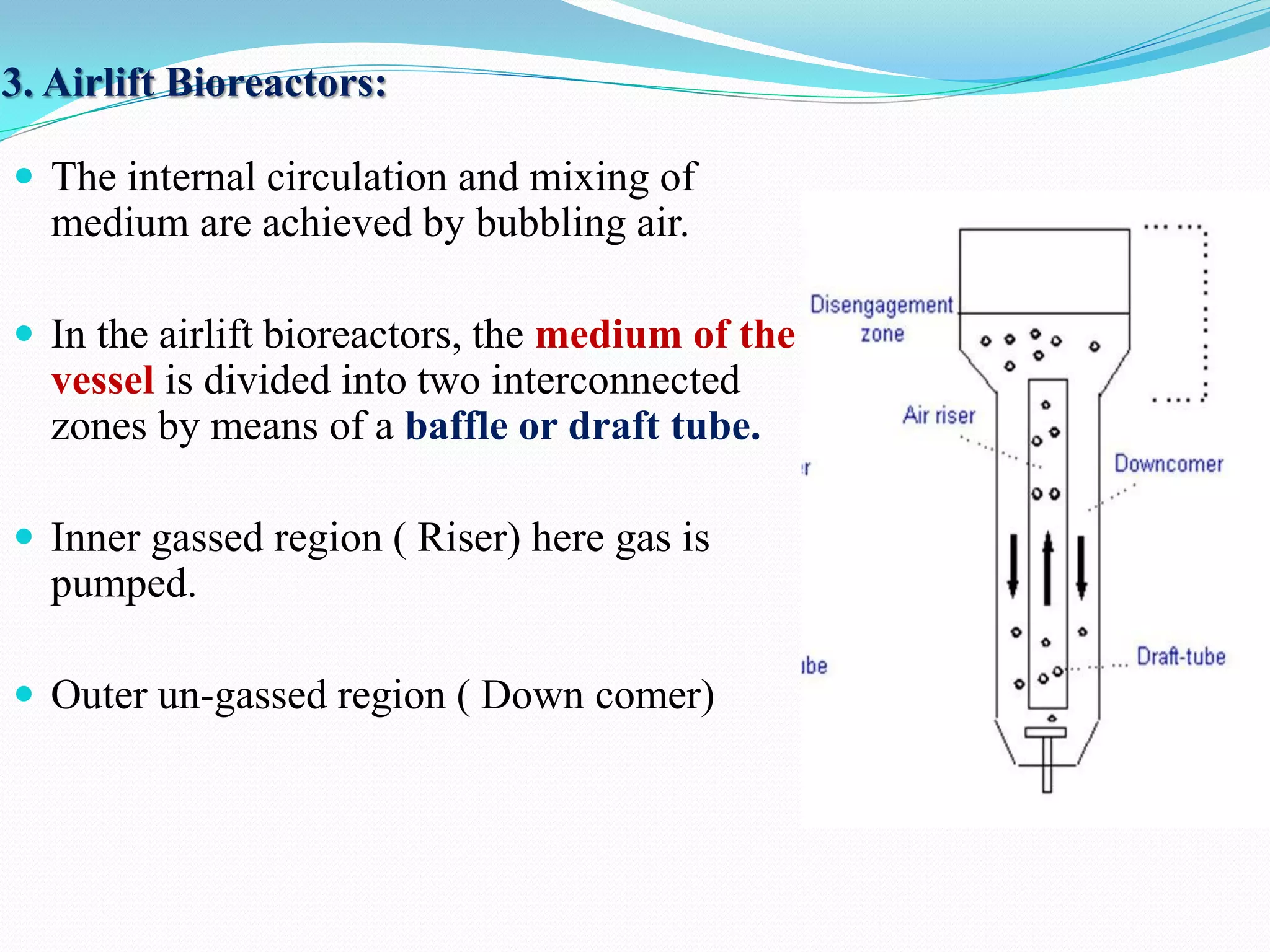 Bioreactors | PDF