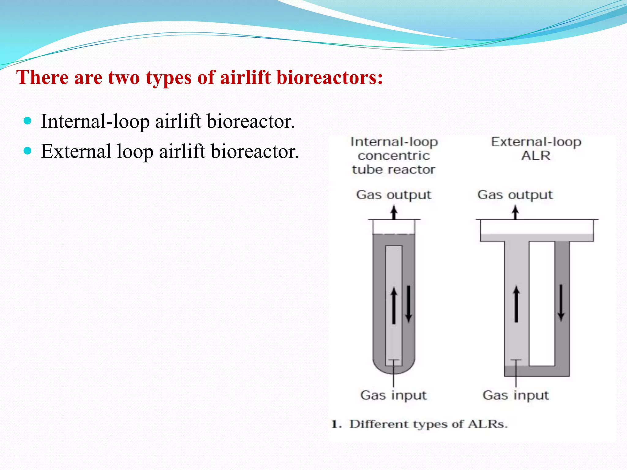 Bioreactors | PDF