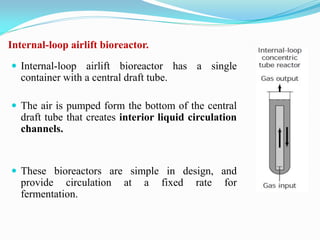 Bioreactors | PDF