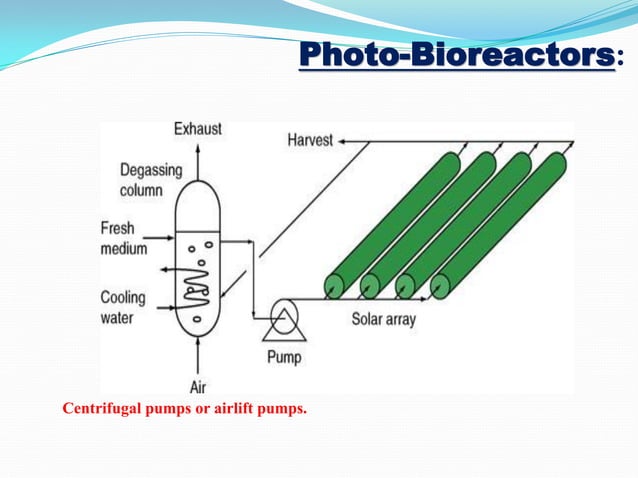 Bioreactors | PDF