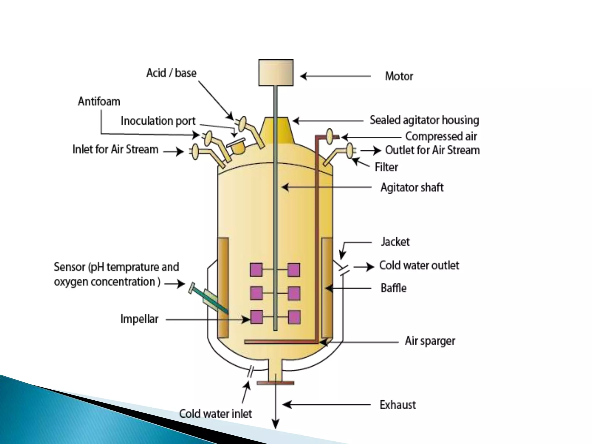 Bioreactors | PPTX
