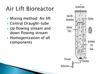 Bioreactors | PPTX