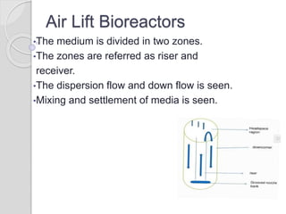 Bioreactors | PPTX