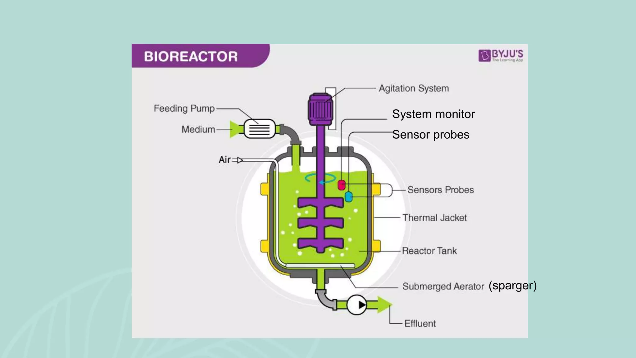 Bioreactors | PPTX