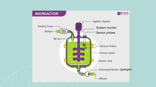 Bioreactors | PPTX