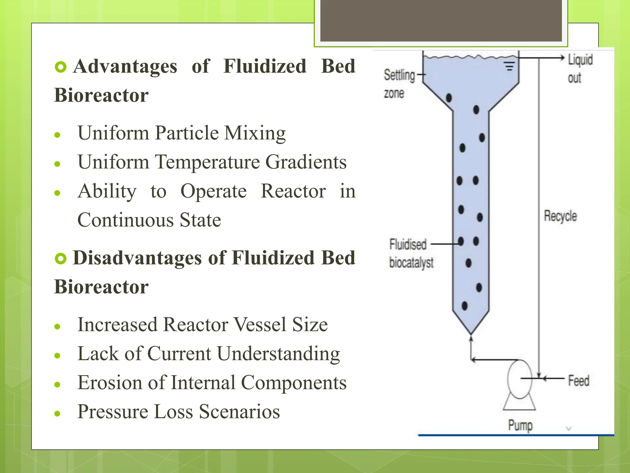 Bioreactors - Basic Designing and Types.pptx | Biotech and Biomedical ...