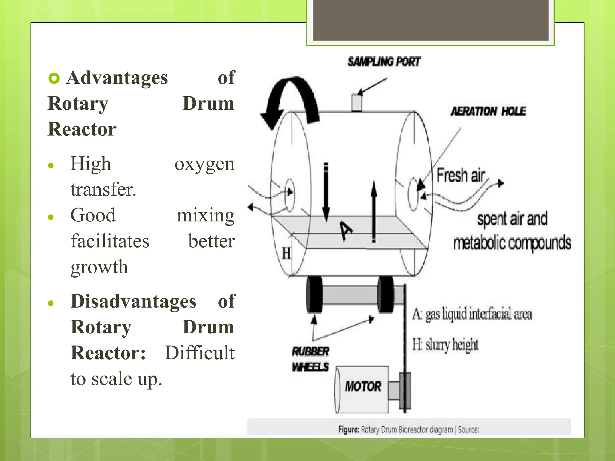 Bioreactors - Basic Designing and Types.pptx