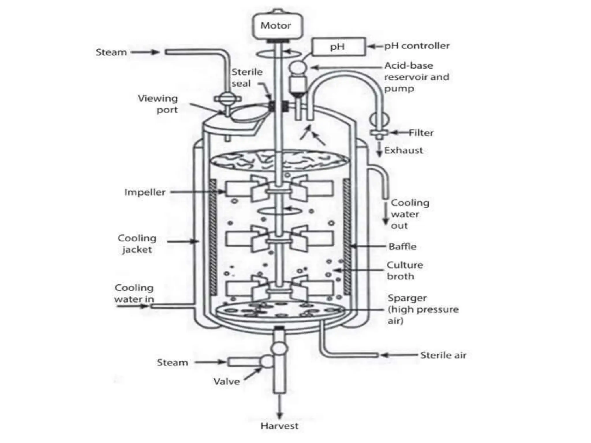 Bioreactors - Basic Designing and Types.pptx