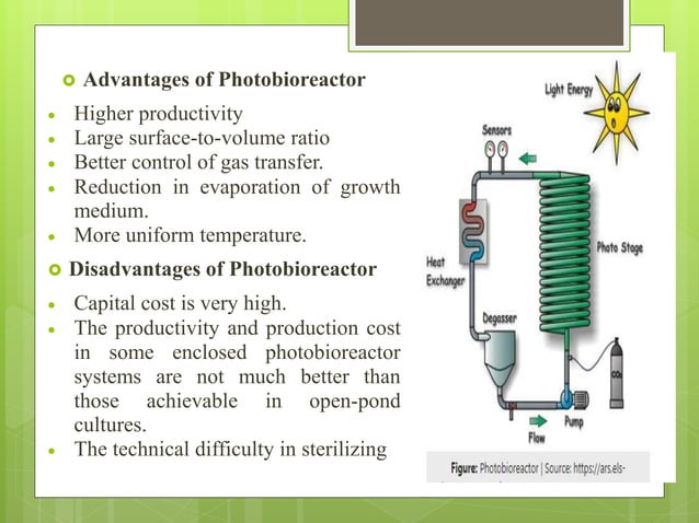 Bioreactors - Basic Designing and Types.pptx | Biotech and Biomedical ...
