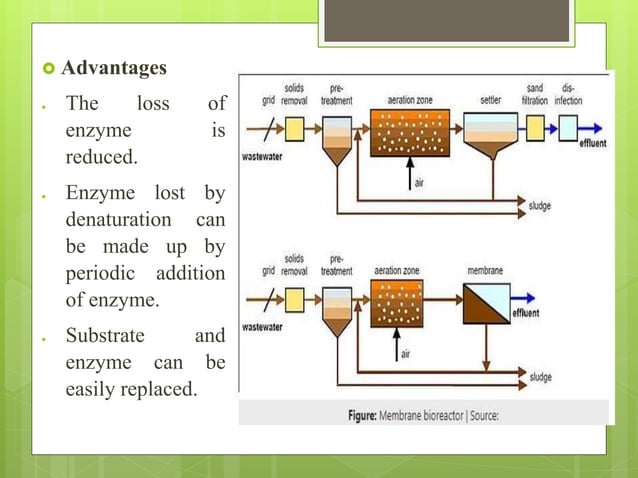 Bioreactors - Basic Designing and Types.pptx | Biotech and Biomedical ...