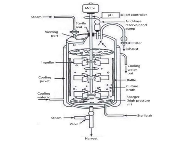 Bioreactors - Basic Designing and Types.pptx | Biotech and Biomedical ...