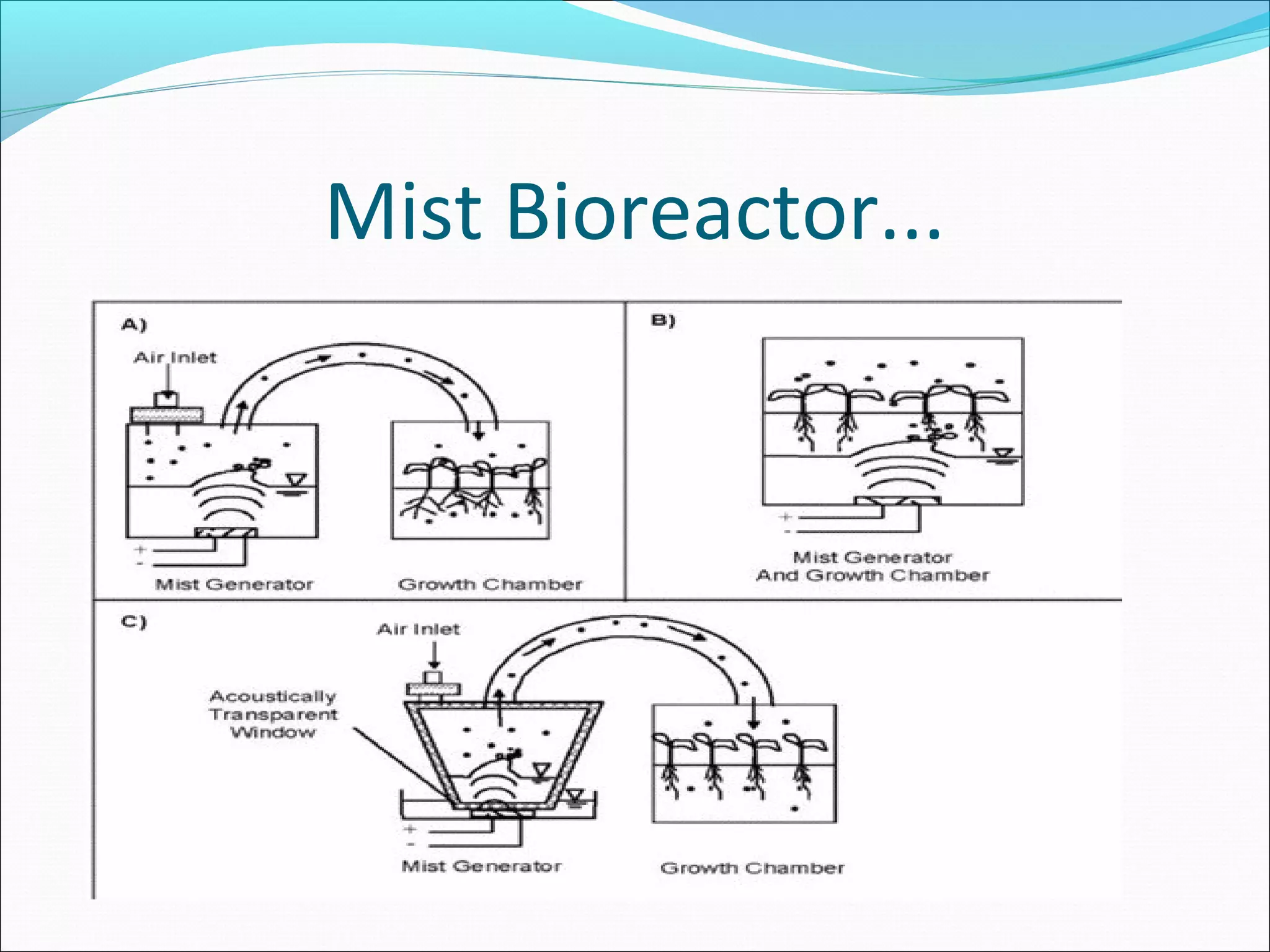 Bioreactors ppt atun | PPT