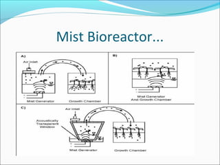 Bioreactors ppt atun | PPT