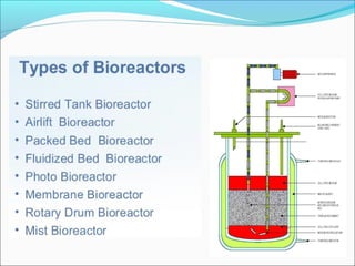 Bioreactors ppt atun | PPT