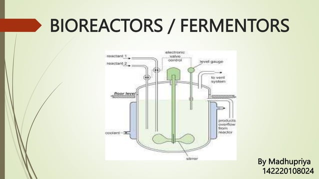 BIO REACTORS- FERMENTORS FOR ANTIBIOTICS | PPTX | Chemistry | Science
