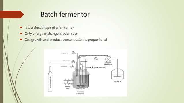 BIO REACTORS- FERMENTORS FOR ANTIBIOTICS | PPT