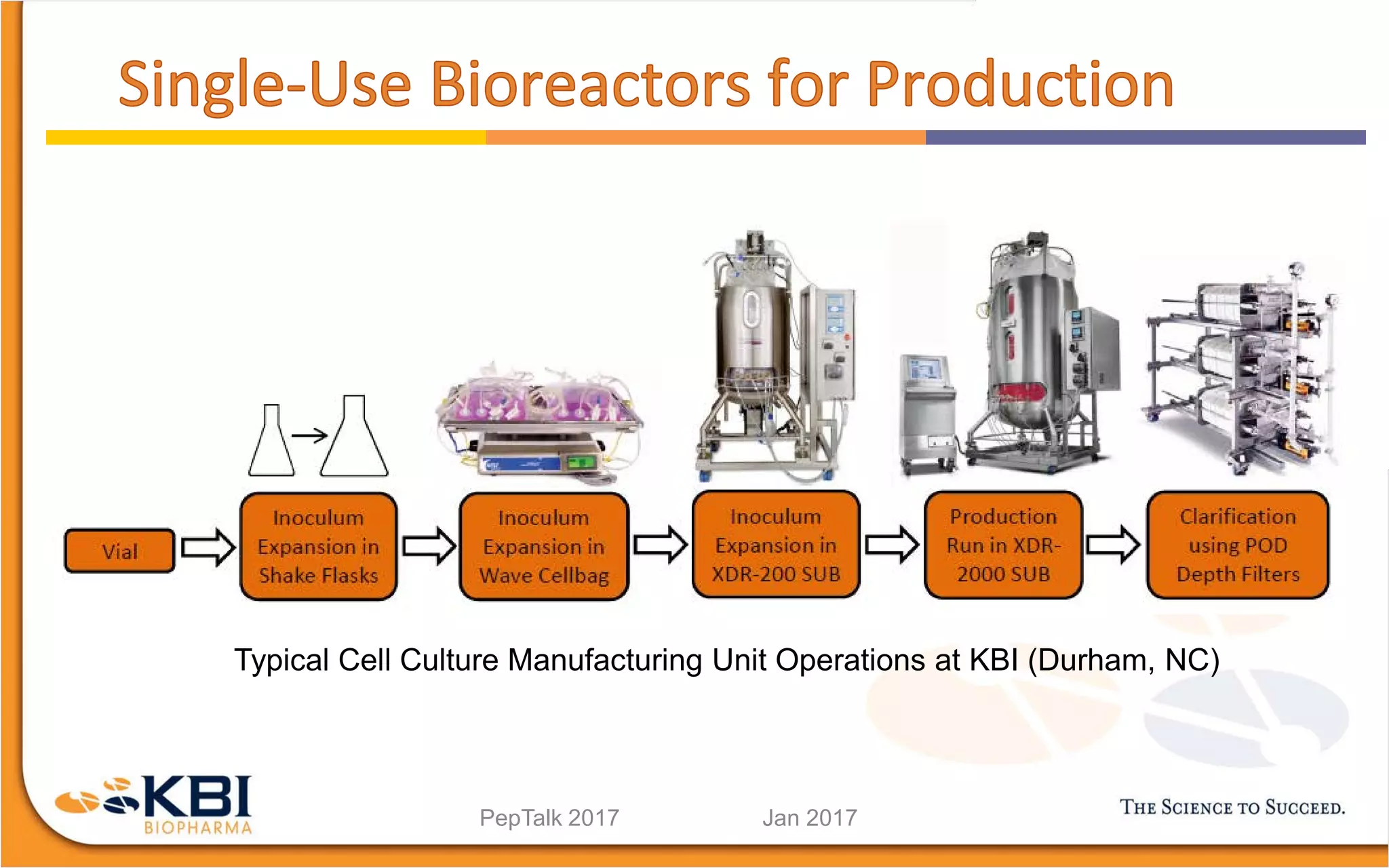 Scalability of a Single-Use Bioreactor Platform for Biopharmaceutical ...