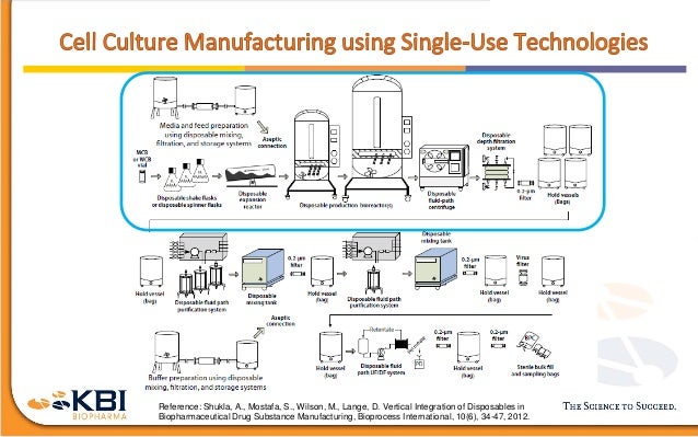 Scalability of a Single-Use Bioreactor Platform for Biopharmaceutical…