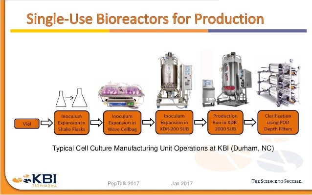 Scalability of a Single-Use Bioreactor Platform for Biopharmaceutical…