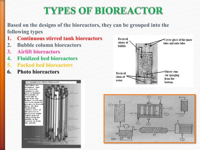 Bioreactors_Design_and_Analysis.pptx | Biotech and Biomedical Industry ...