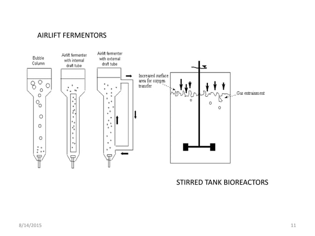 Bioreactors for animal cell suspension culture | PPTX | Biological ...