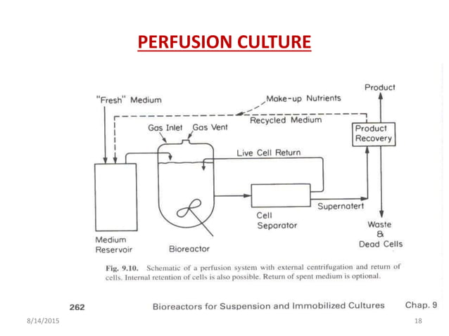 Bioreactors for animal cell suspension culture | PPTX | Biological ...