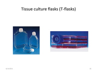 Bioreactors for animal cell suspension culture | PPTX