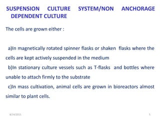 Bioreactors for animal cell suspension culture | PPTX