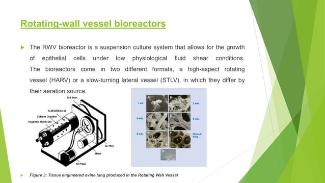 Bioreactors In Tissue Engineering Pptx Biotech And Biomedical Industry Industries