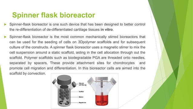 Bioreactors In Tissue Engineering Pptx Biotech And Biomedical Industry Industries