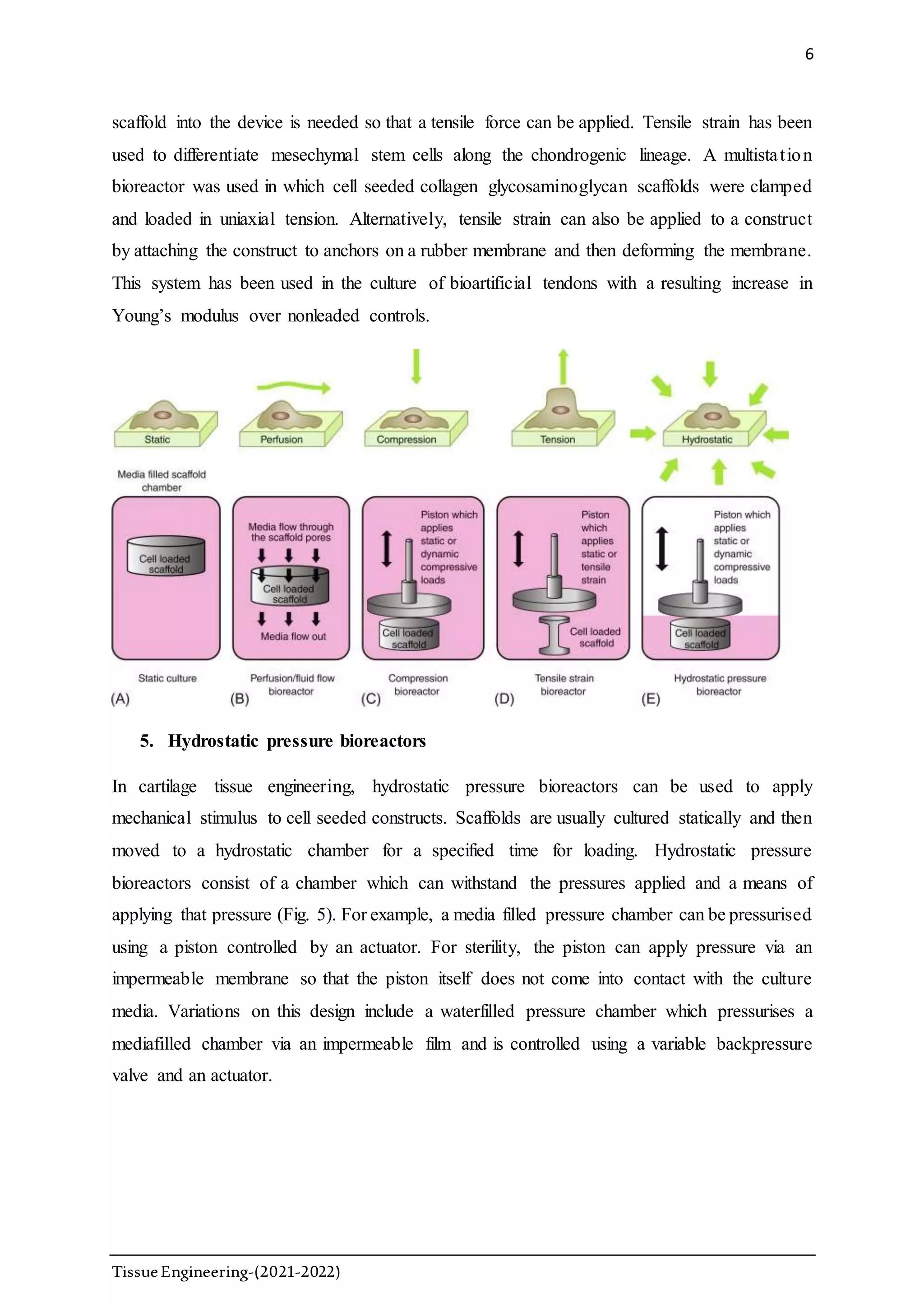 Bioreactors in tissue engineering | DOCX