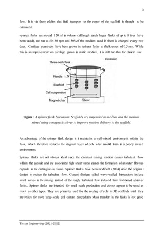 Bioreactors in tissue engineering | DOCX