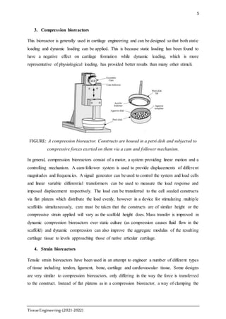 Bioreactors in tissue engineering | DOCX
