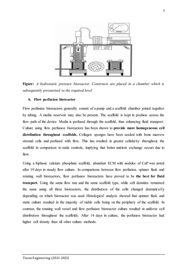Bioreactors In Tissue Engineering Docx