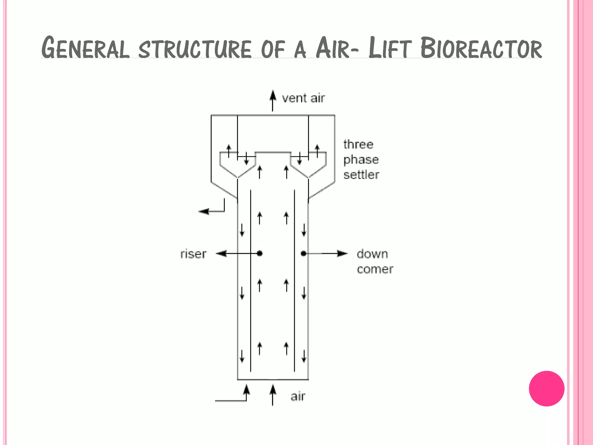 BIOREACTORS OR FERMENTERS | PDF