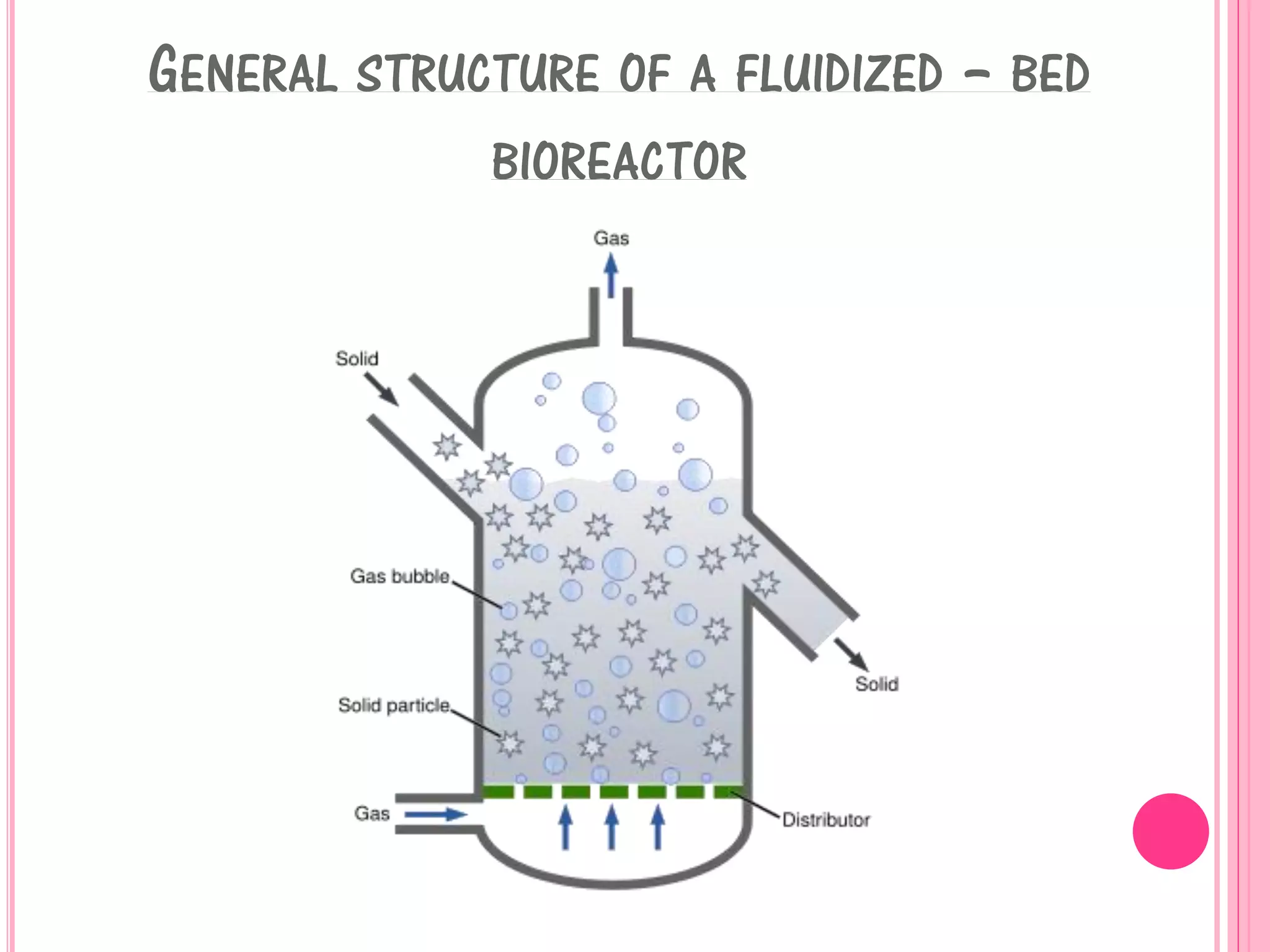 BIOREACTORS OR FERMENTERS | PDF