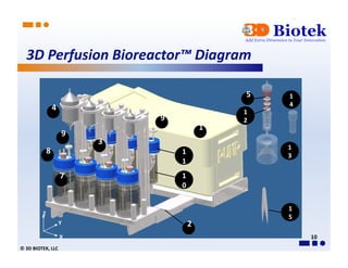 3D Perfusion Bioreactor Technical Presentation | PDF