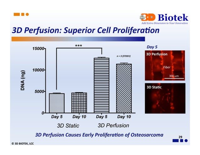 3D Perfusion Bioreactor Technical Presentation | PDF